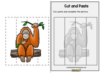 Rainforest Cut And Paste - Worksheets for Kindergarten