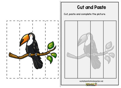 Rainforest Cut And Paste - Worksheets for Kindergarten